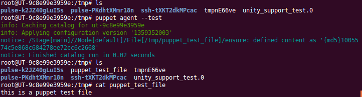 Puppet Installation – Jackie Chen's IT Workshop