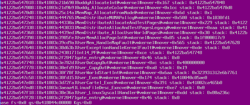 ESXi Purple Screen Message Interpretation – Jackie Chen's IT Workshop