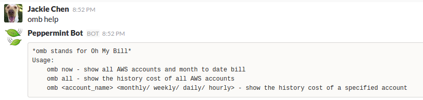 Hubot: CloudHealth ‘Oh My Bill’ – Jackie Chen's IT Workshop